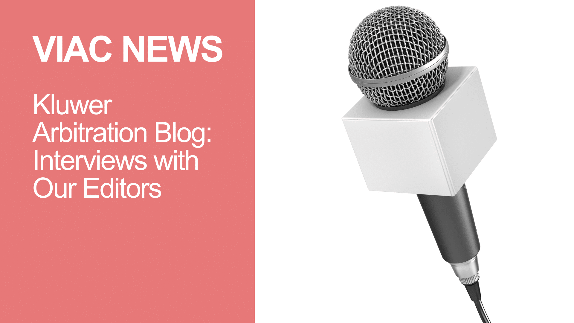 Interviews with Our Editors: In Conversation with Niamh Leinwather ...
